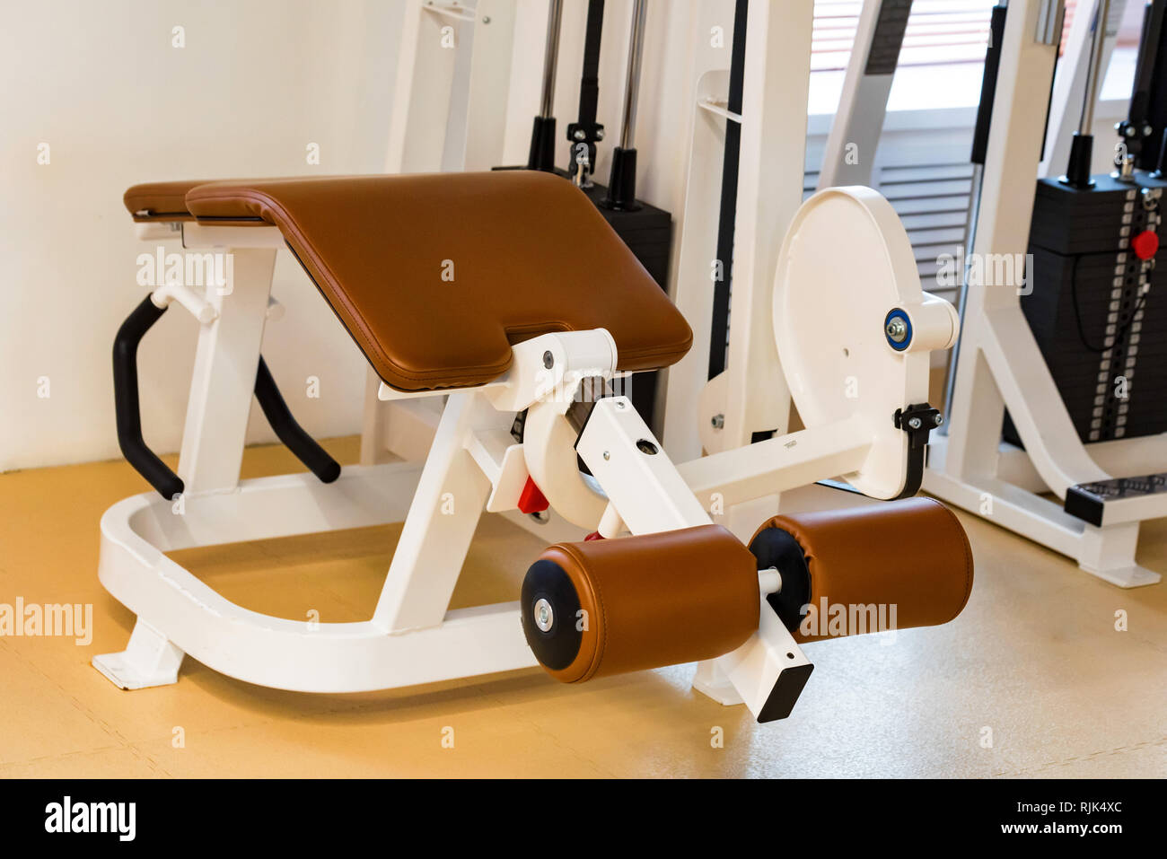 Gym machine leg lift hi-res stock photography and images - Alamy