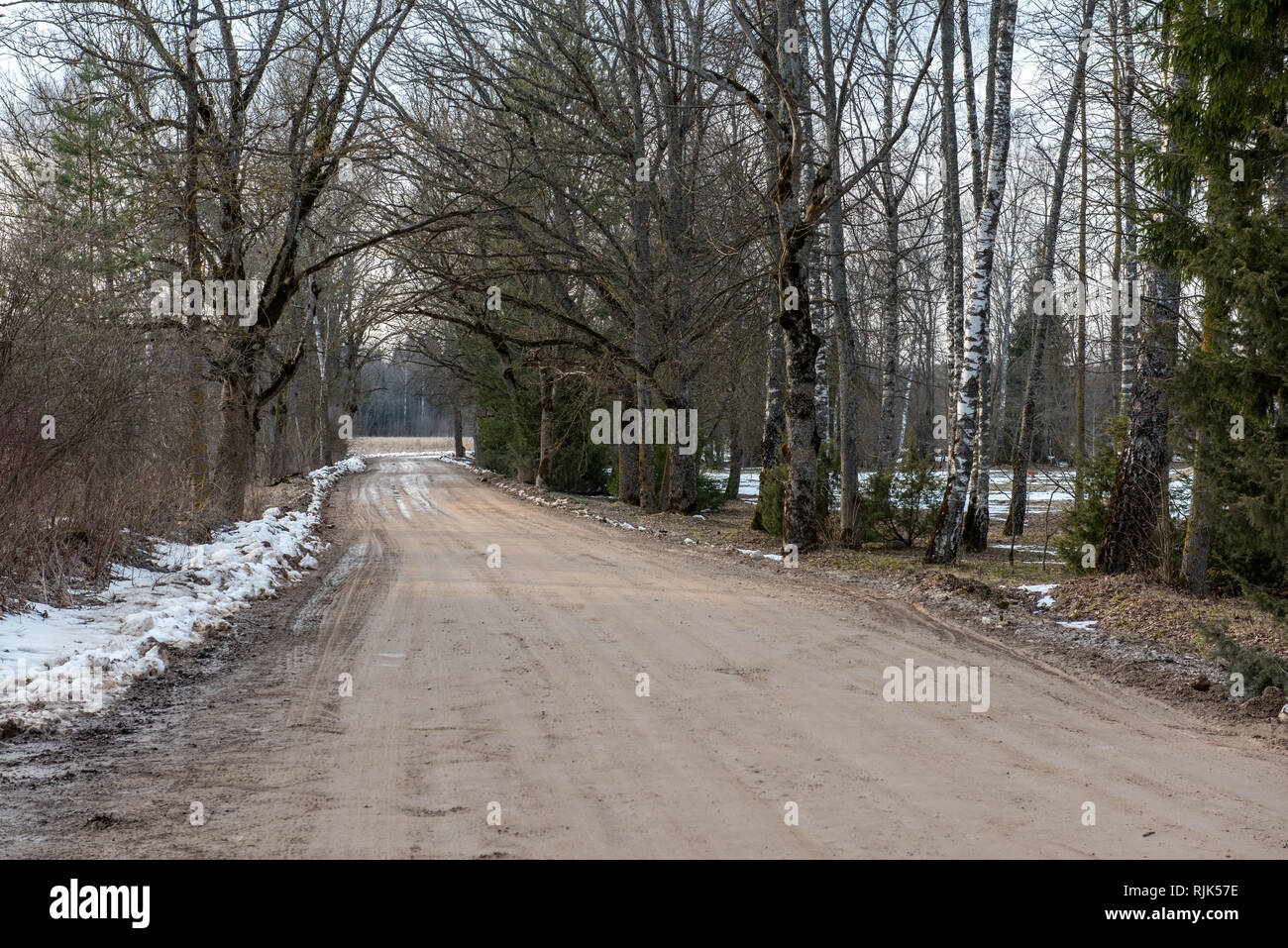 empty country gravel road with mud puddles and bumps. dirty road ...