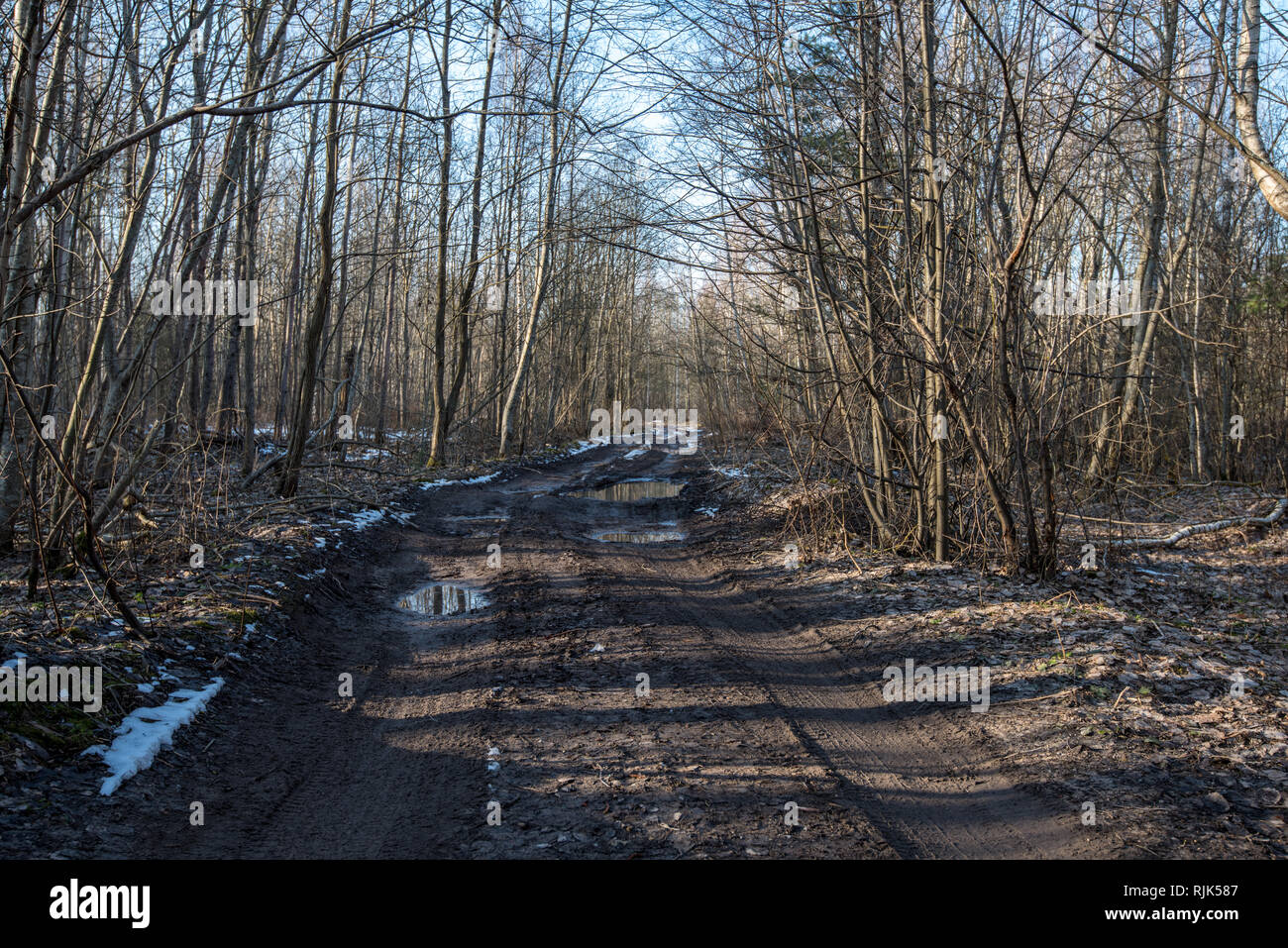 empty country gravel road with mud puddles and bumps. dirty road ...