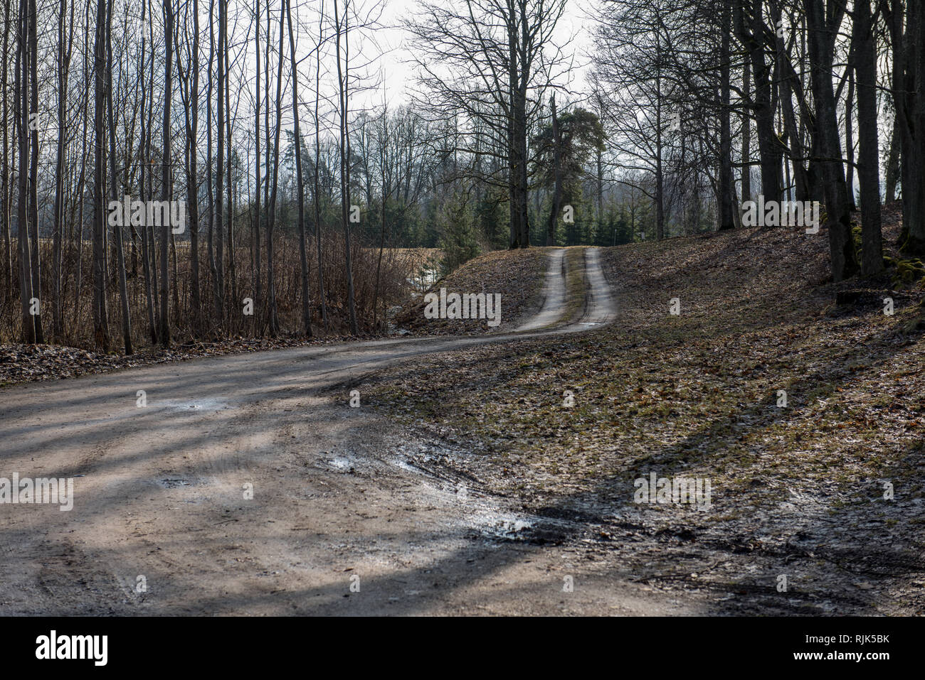 empty country gravel road with mud puddles and bumps. dirty road surface with sand and small ...