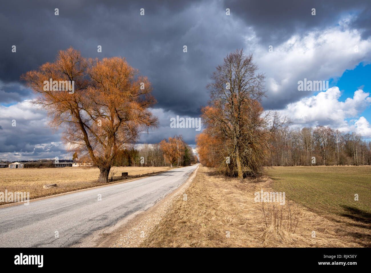 empty asphalt road outside city. countryside driveway with clean ...
