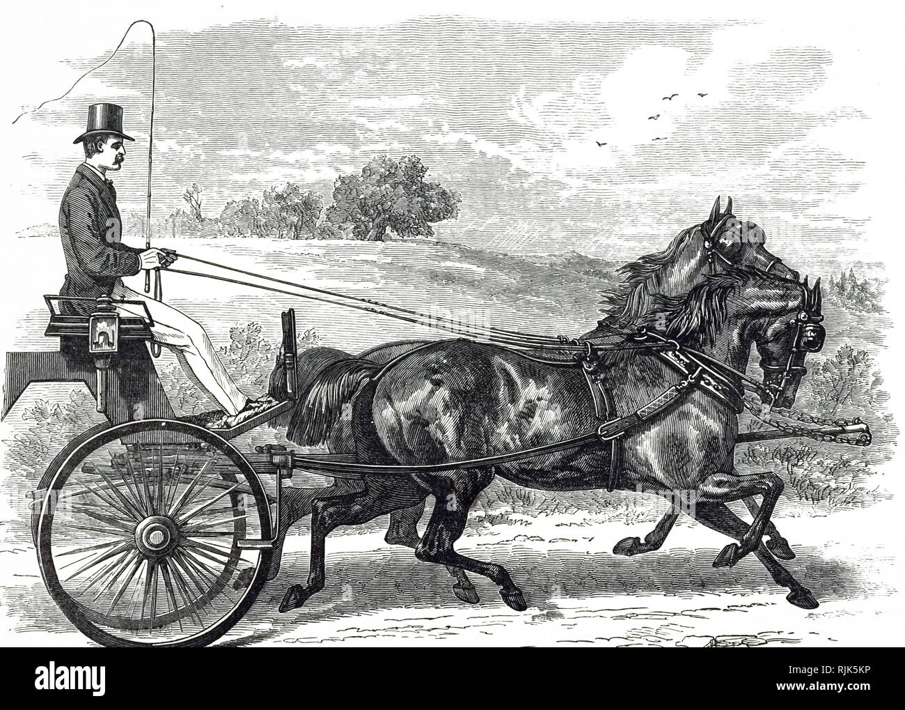 Victorian dog cart hi-res stock photography and images - Alamy