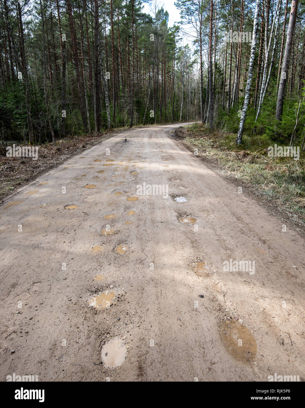 empty country gravel road with mud puddles and bumps. dirty road ...