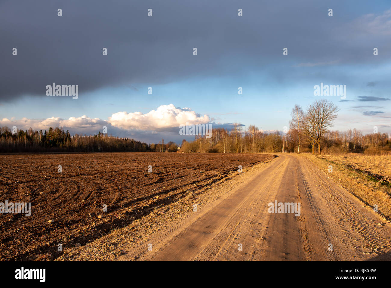empty country gravel road with mud puddles and bumps. dirty road surface with sand and small ...