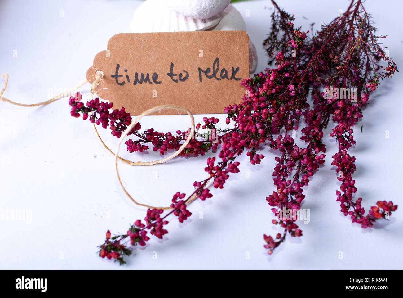 A label saying "time to relax" and colorful red branches on white ...