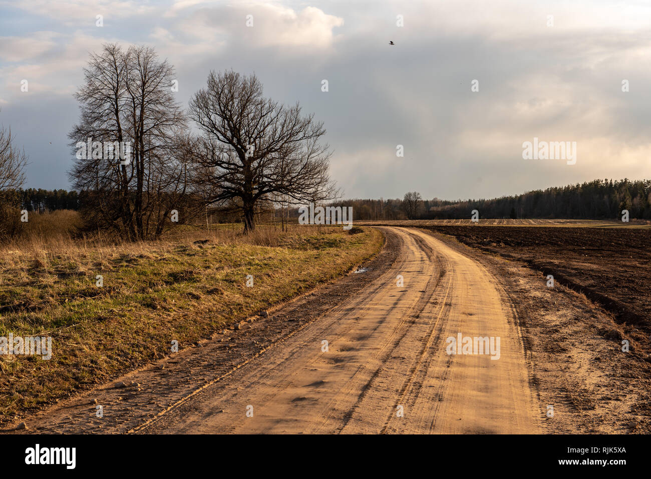 empty country gravel road with mud puddles and bumps. dirty road surface with sand and small ...
