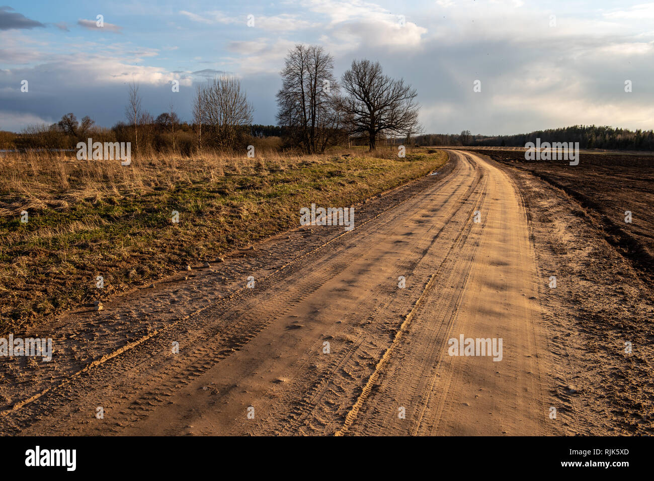 empty country gravel road with mud puddles and bumps. dirty road surface with sand and small ...