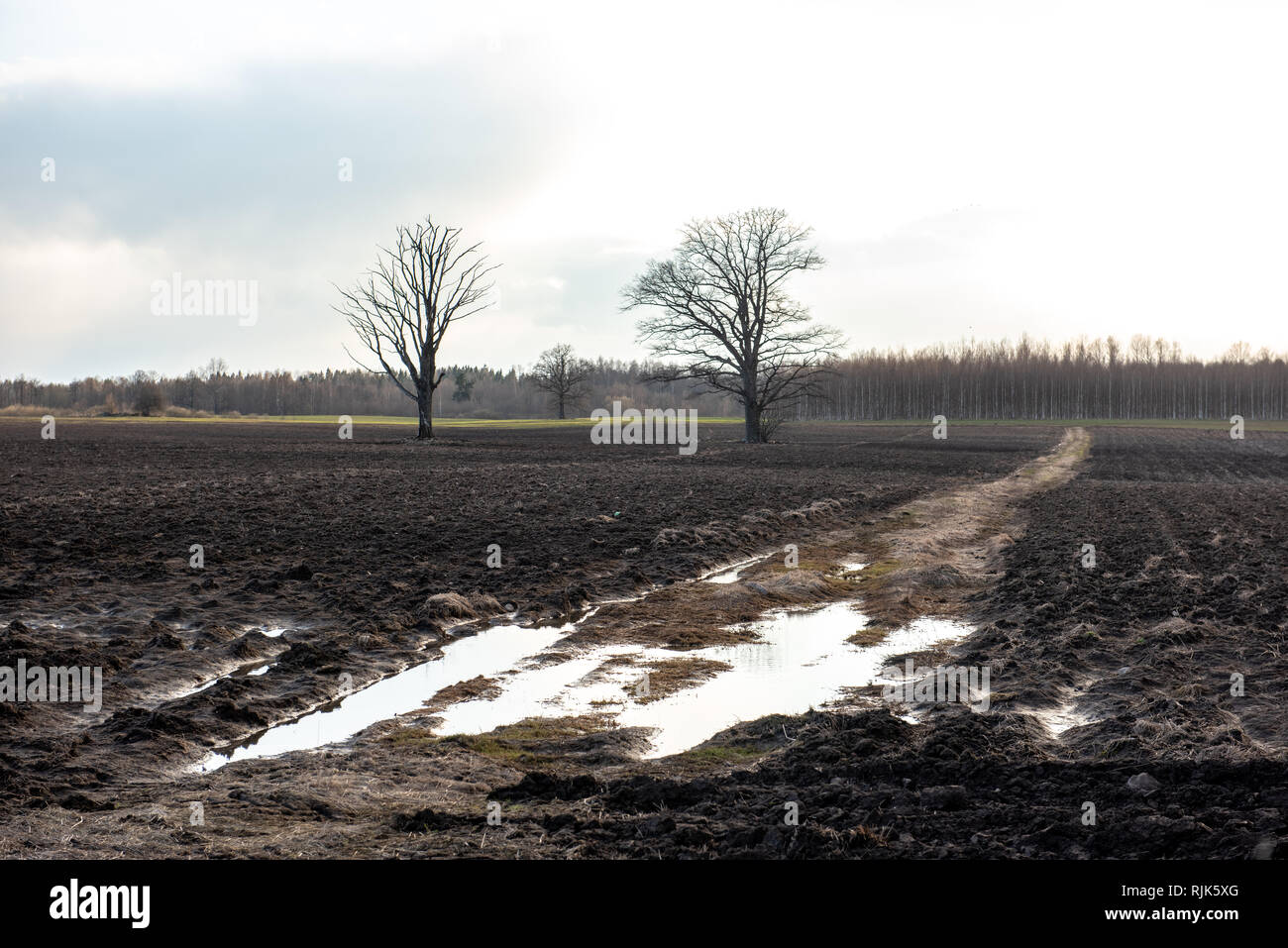 empty country gravel road with mud puddles and bumps. dirty road ...
