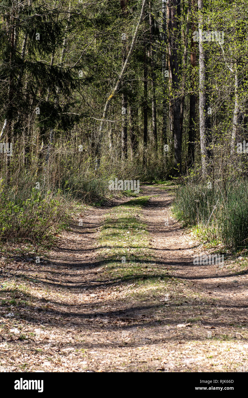 empty country gravel road with mud puddles and bumps. dirty road ...