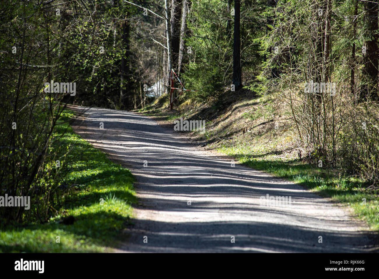 empty country gravel road with mud puddles and bumps. dirty road ...