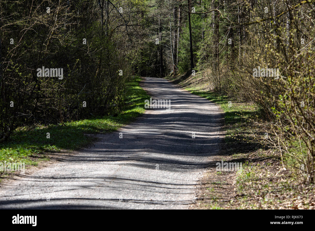empty country gravel road with mud puddles and bumps. dirty road ...