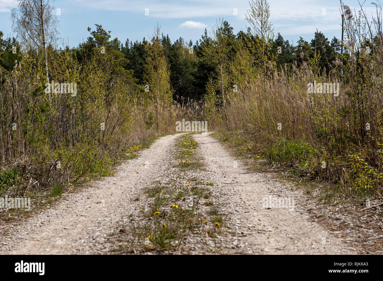 empty country gravel road with mud puddles and bumps. dirty road ...
