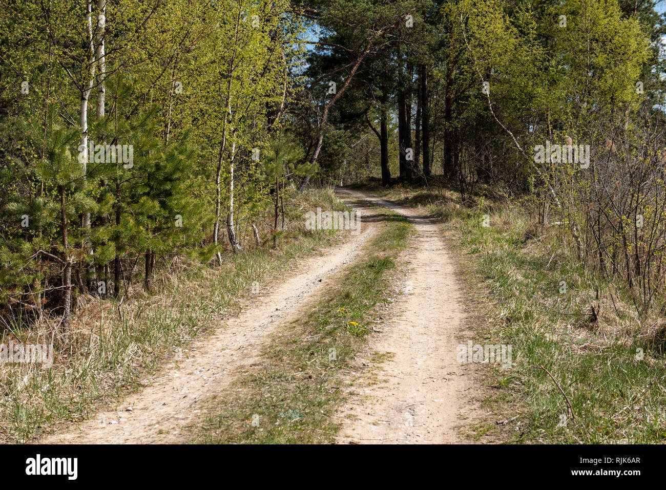 empty country gravel road with mud puddles and bumps. dirty road ...