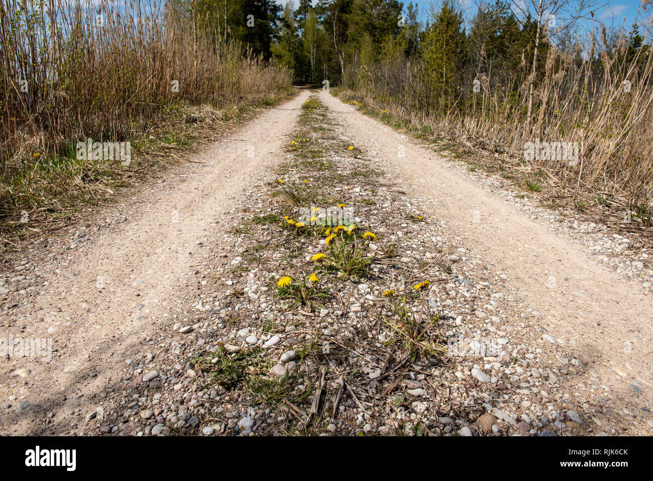 empty country gravel road with mud puddles and bumps. dirty road ...