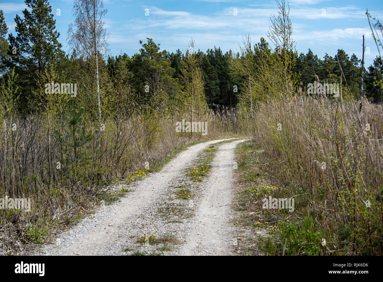 empty country gravel road with mud puddles and bumps. dirty road ...