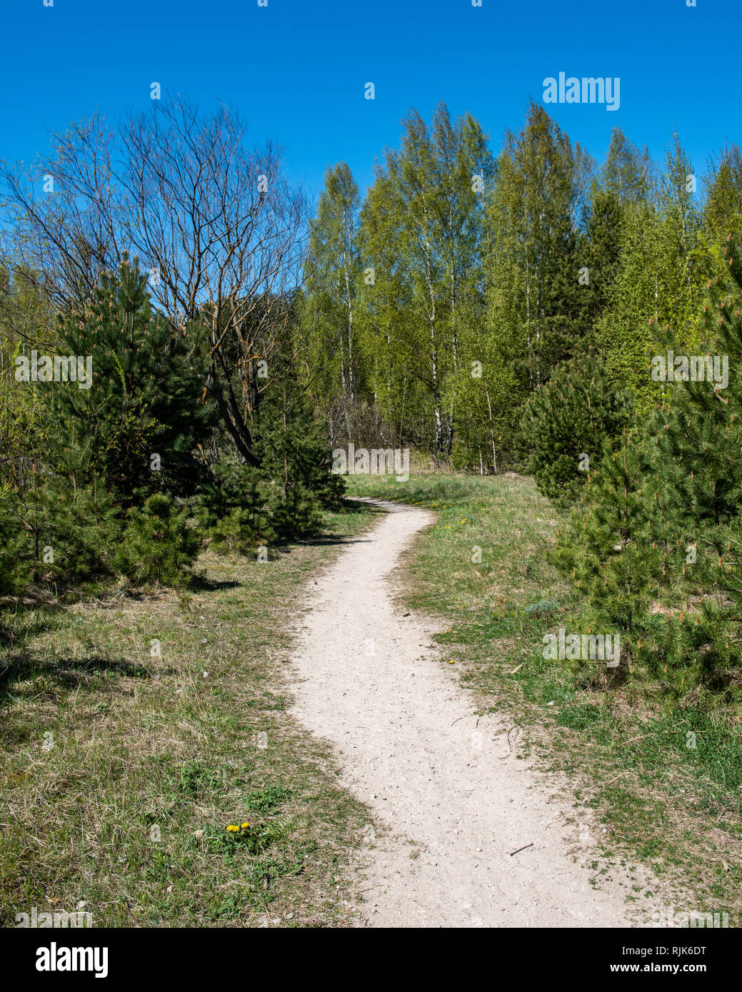 empty country gravel road with mud puddles and bumps. dirty road ...