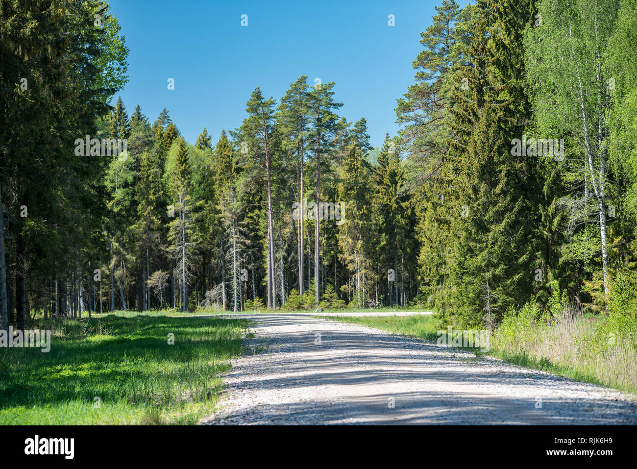 empty country gravel road with mud puddles and bumps. dirty road ...