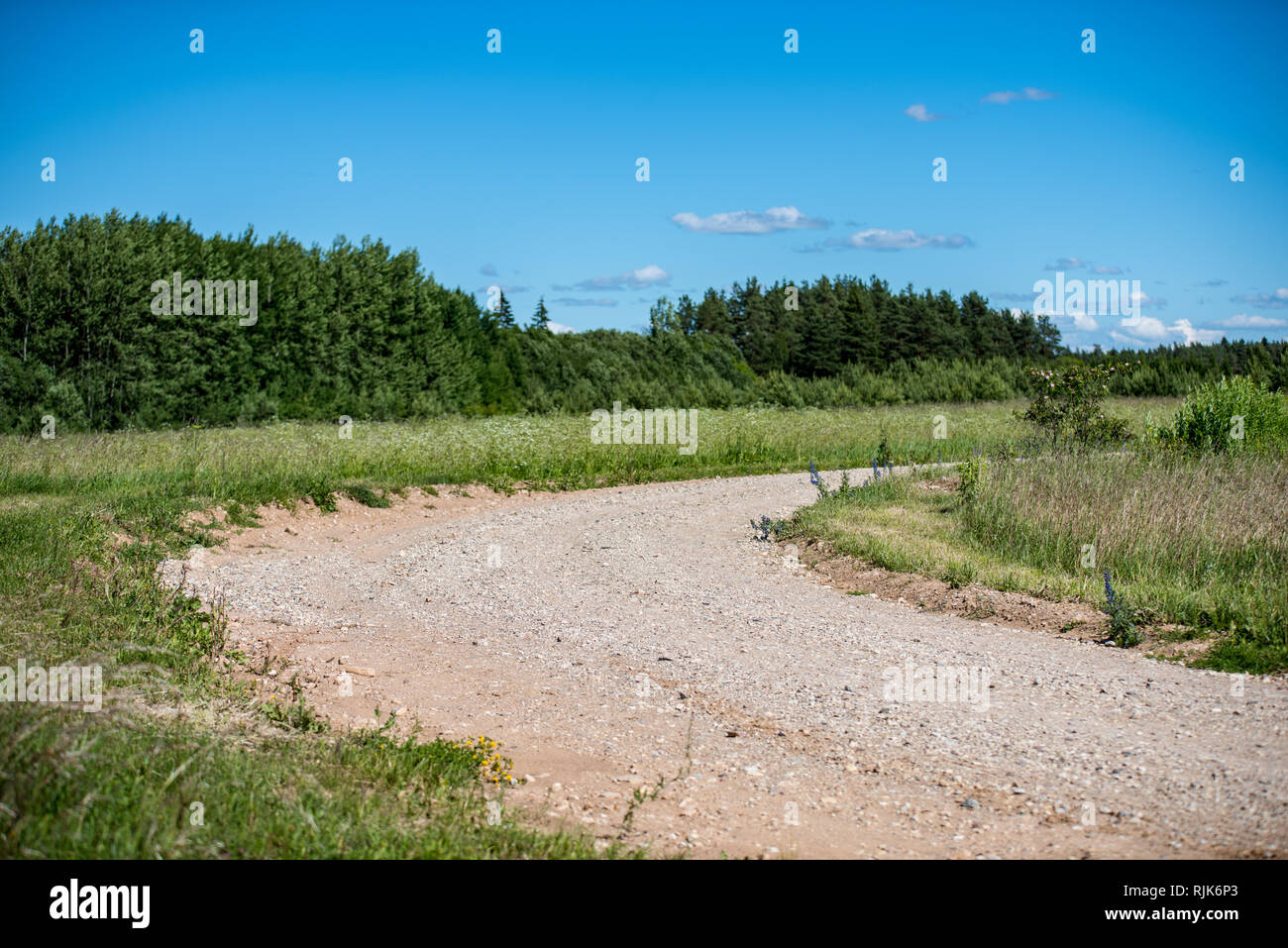 empty country gravel road with mud puddles and bumps. dirty road surface with sand and small ...