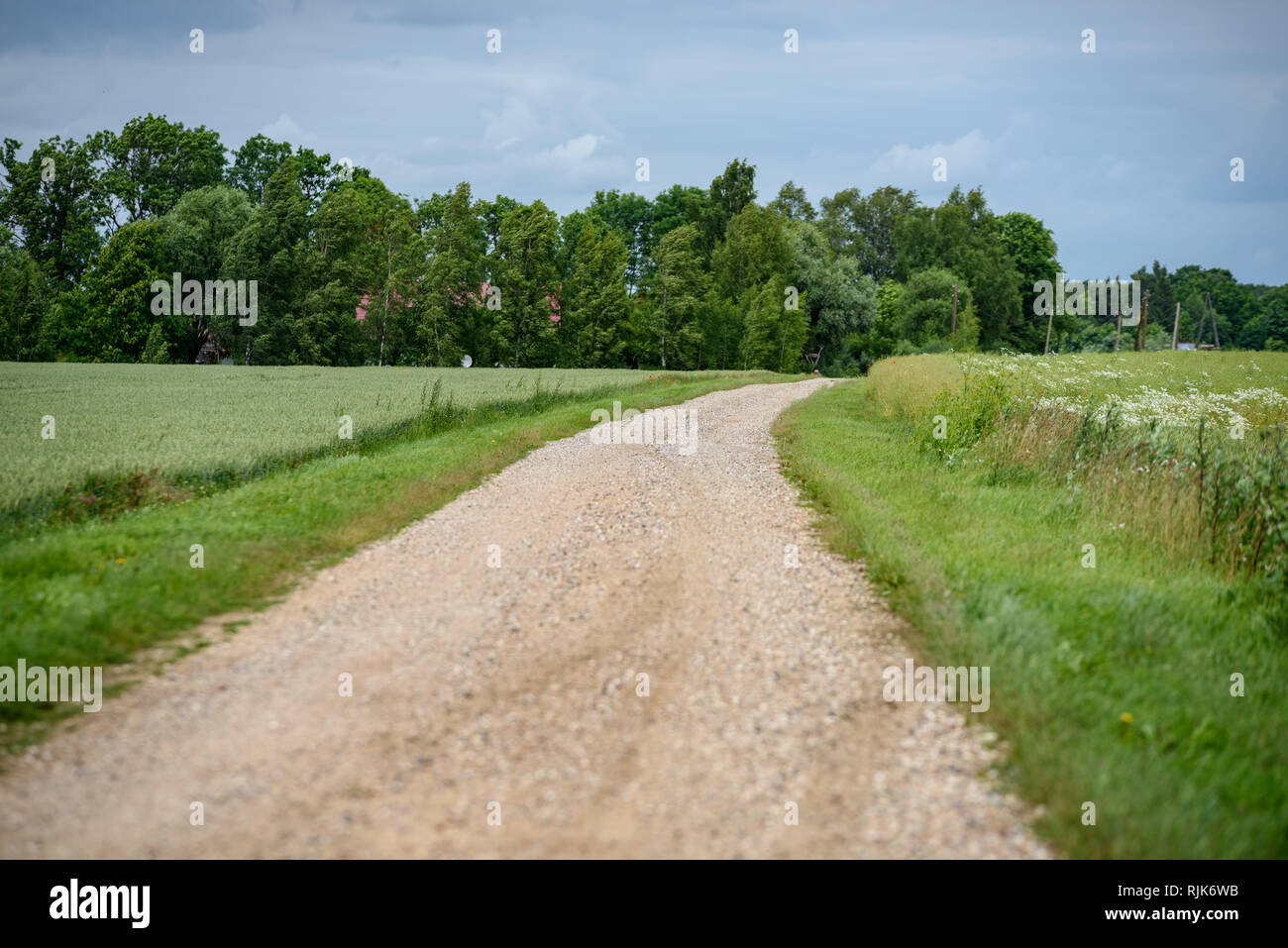 empty country gravel road with mud puddles and bumps. dirty road surface with sand and small ...