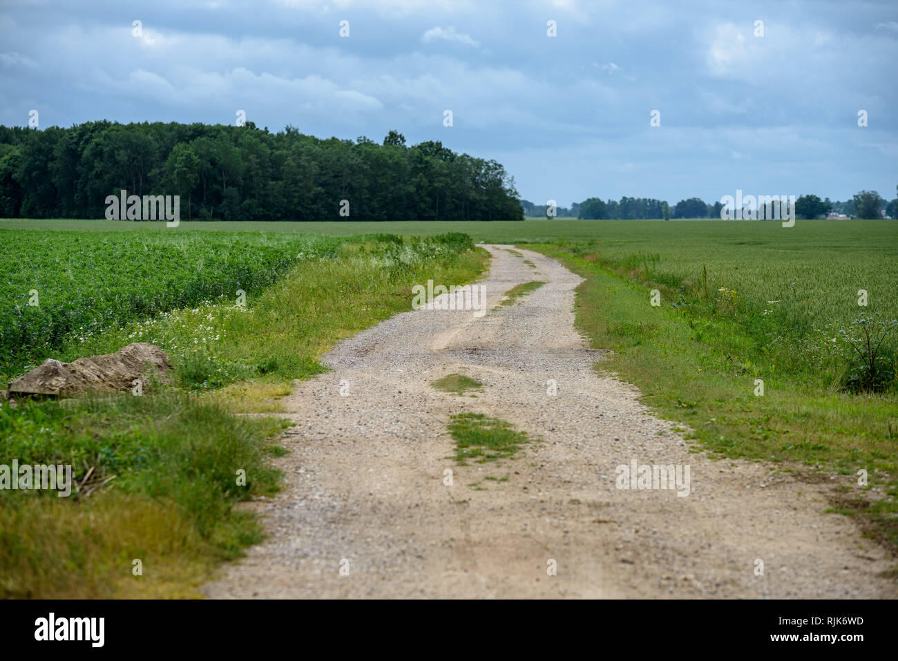 empty country gravel road with mud puddles and bumps. dirty road ...