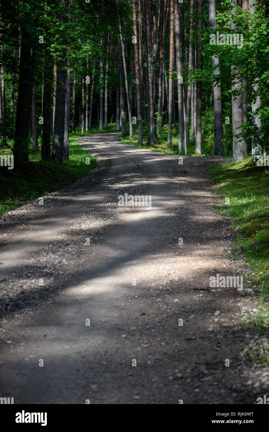 empty country gravel road with mud puddles and bumps. dirty road ...