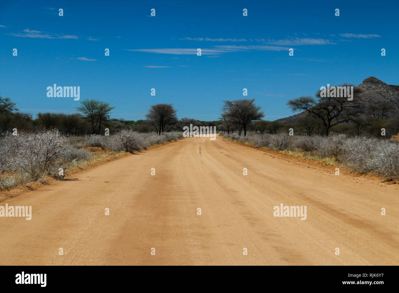 Gebüsch hi-res stock photography and images - Alamy