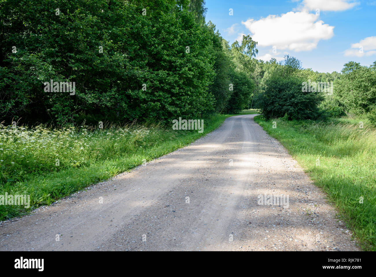 empty country gravel road with mud puddles and bumps. dirty road ...