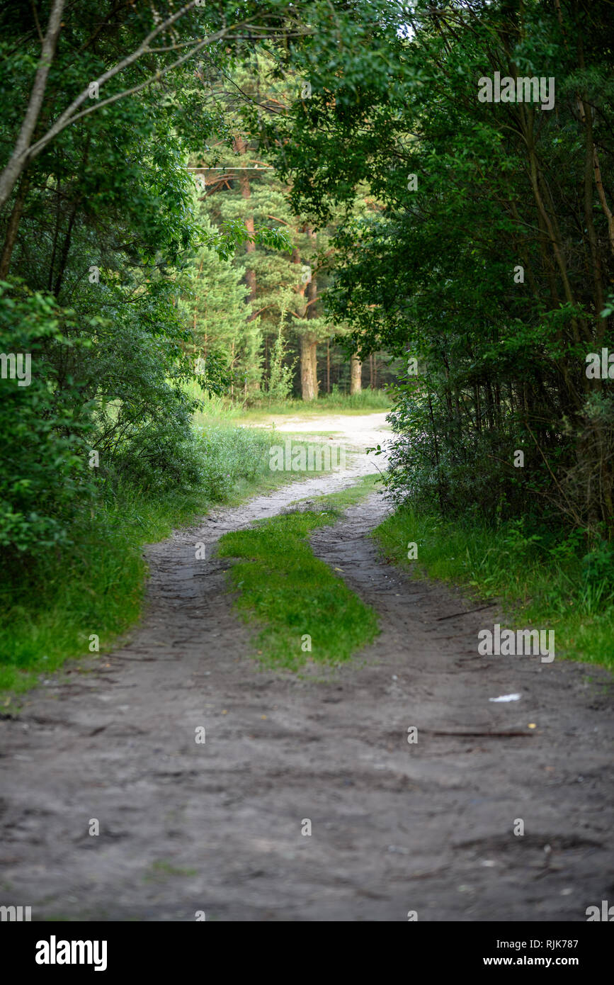 empty country gravel road with mud puddles and bumps. dirty road ...