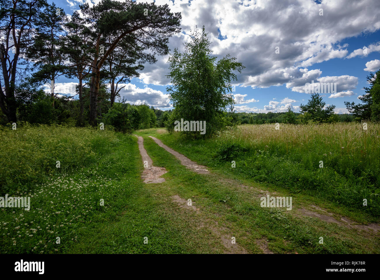 empty country gravel road with mud puddles and bumps. dirty road ...