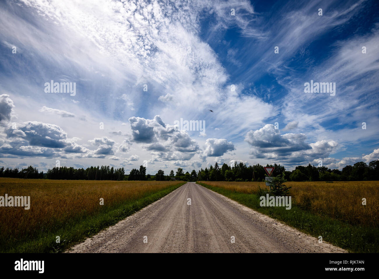 empty country gravel road with mud puddles and bumps. dirty road ...