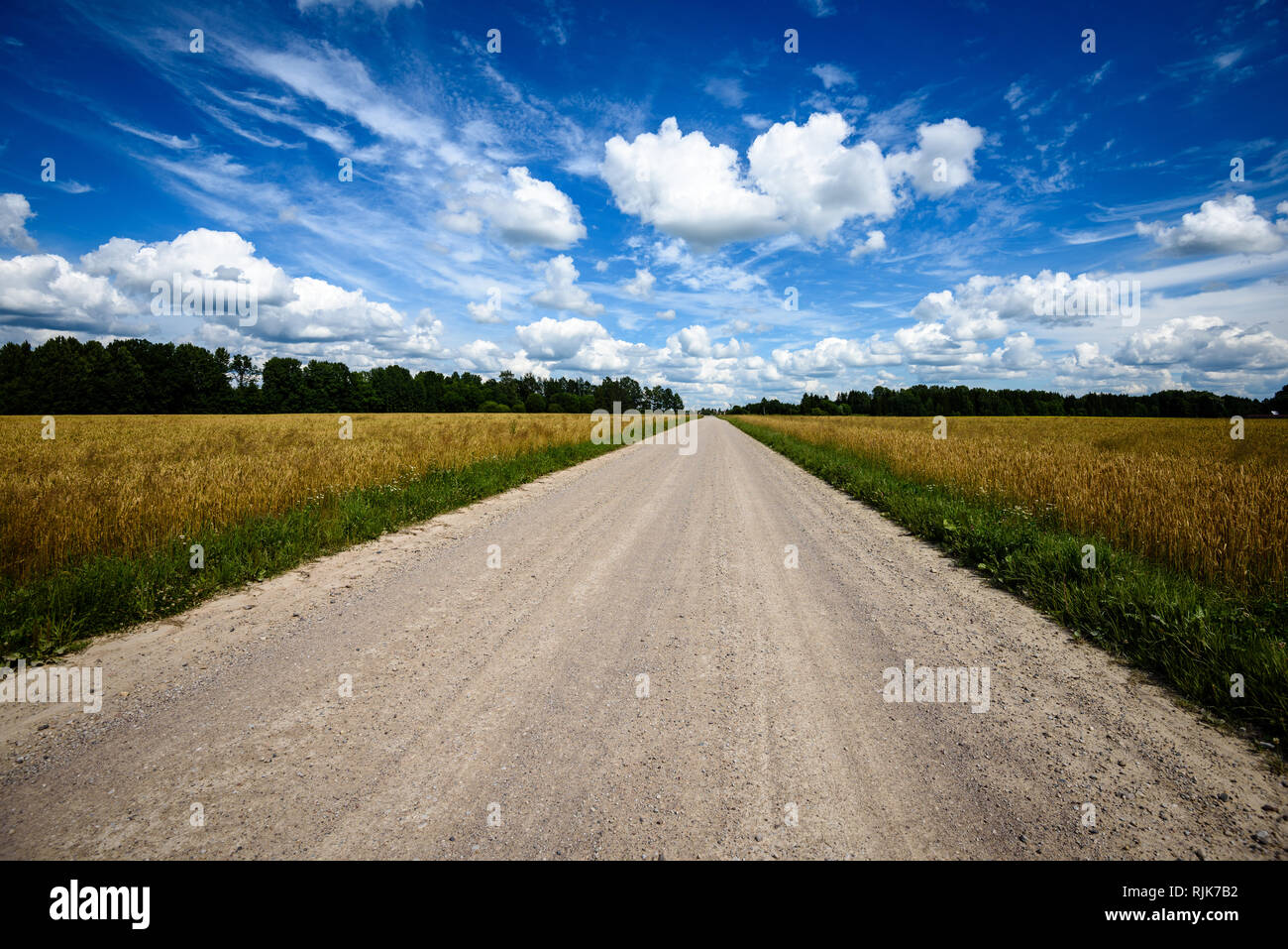 empty country gravel road with mud puddles and bumps. dirty road ...