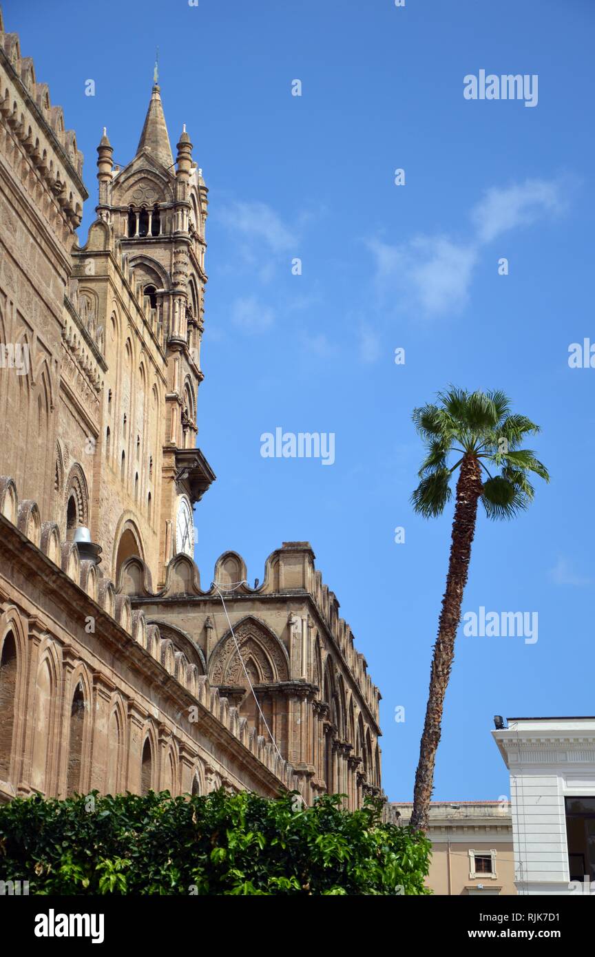 beautiful architecture of the cathedral of palermo Stock Photo - Alamy