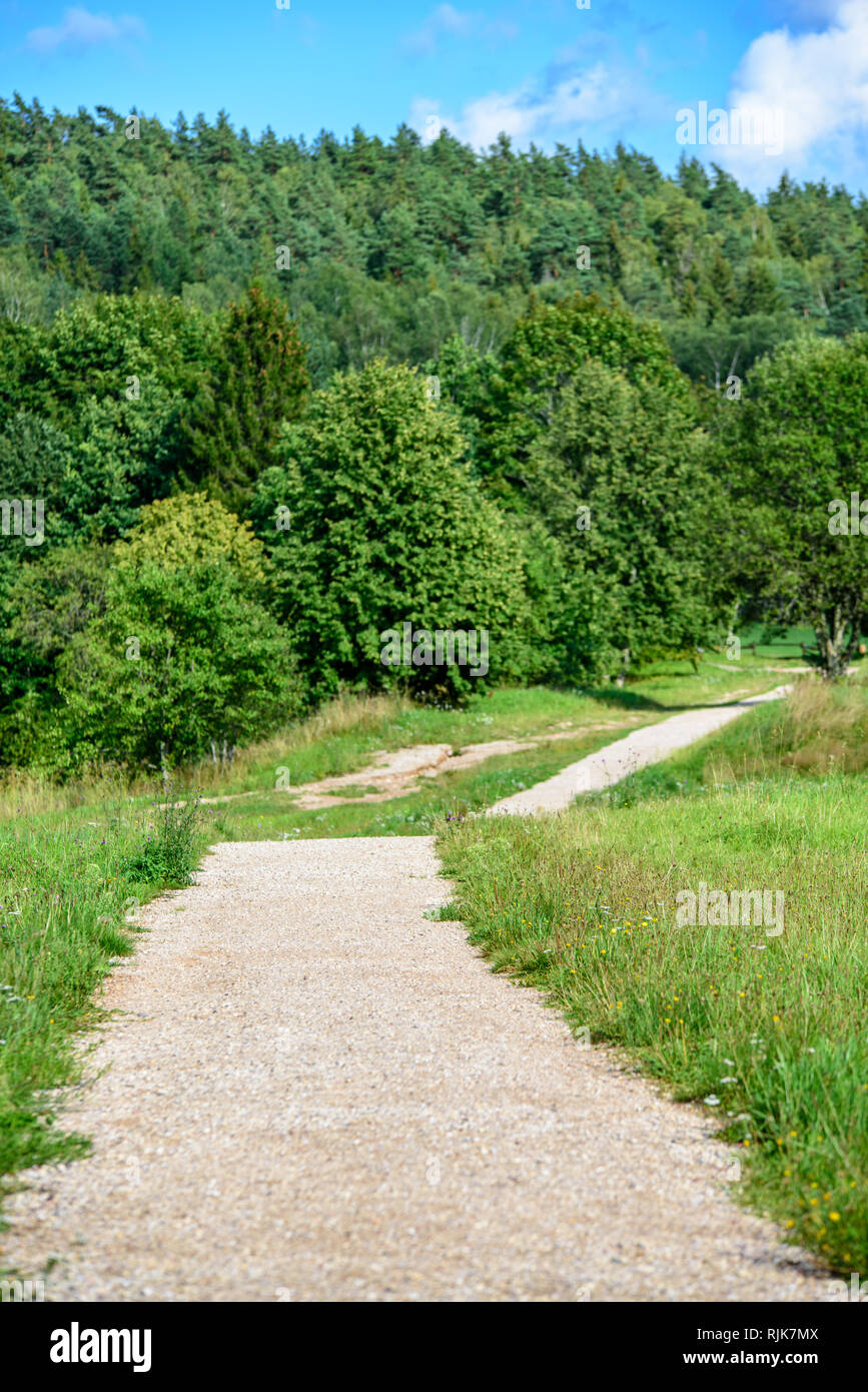 empty country gravel road with mud puddles and bumps. dirty road ...