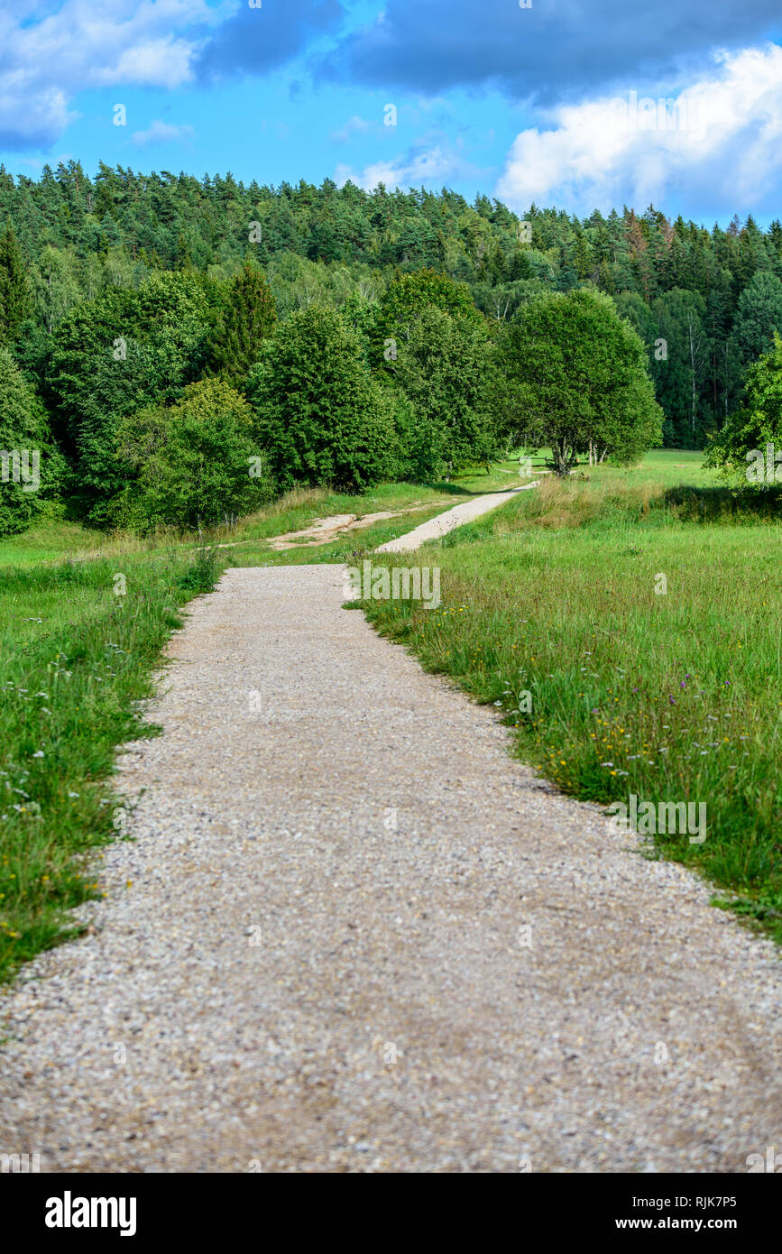 empty country gravel road with mud puddles and bumps. dirty road ...