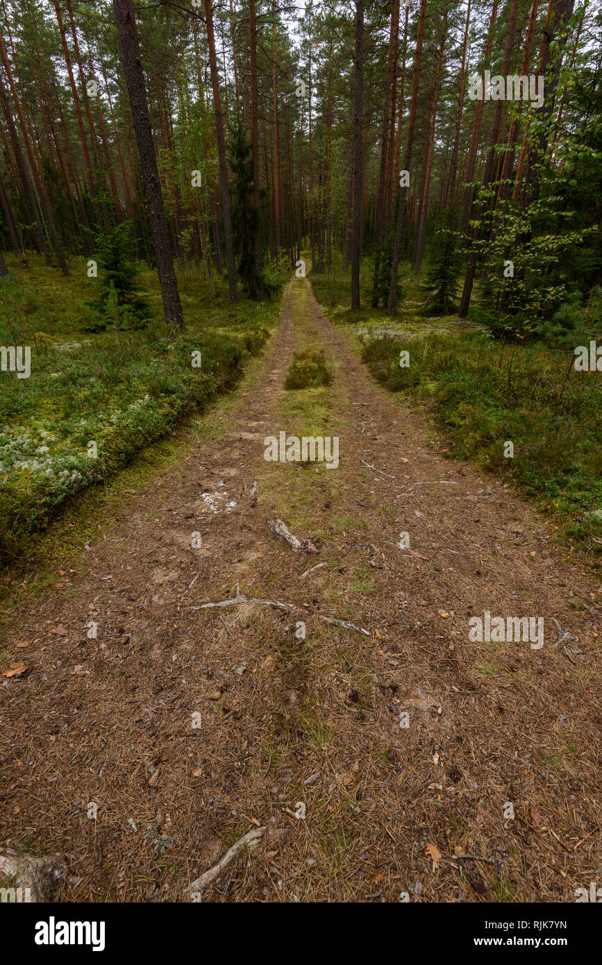 empty country gravel road with mud puddles and bumps. dirty road ...