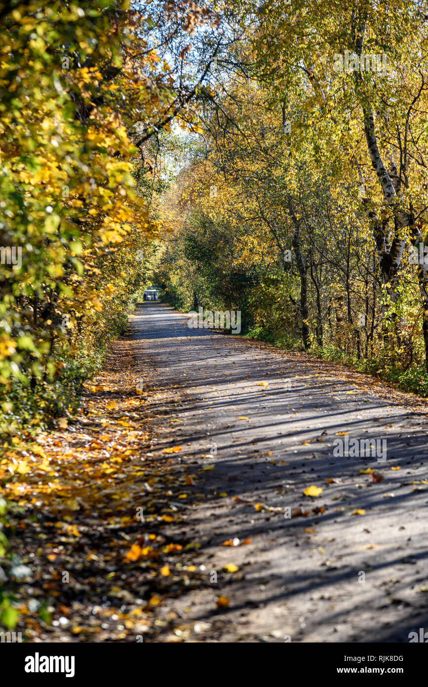 empty asphalt road outside city. countryside driveway with clean ...