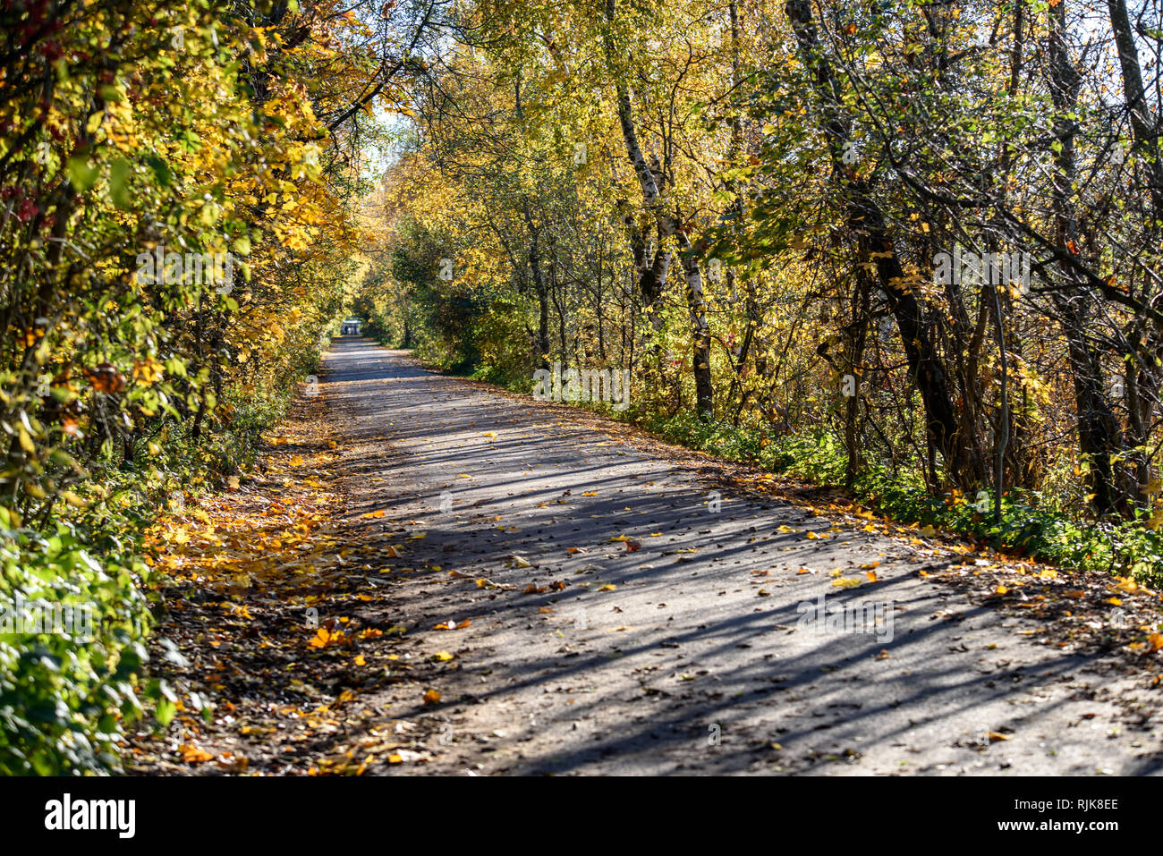 empty asphalt road outside city. countryside driveway with clean ...