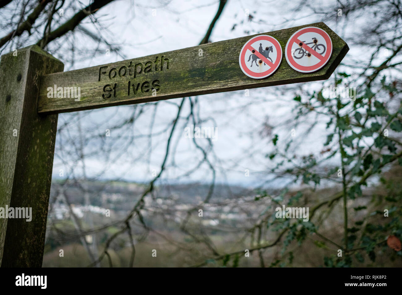 Bingley st ives estate hi-res stock photography and images - Alamy