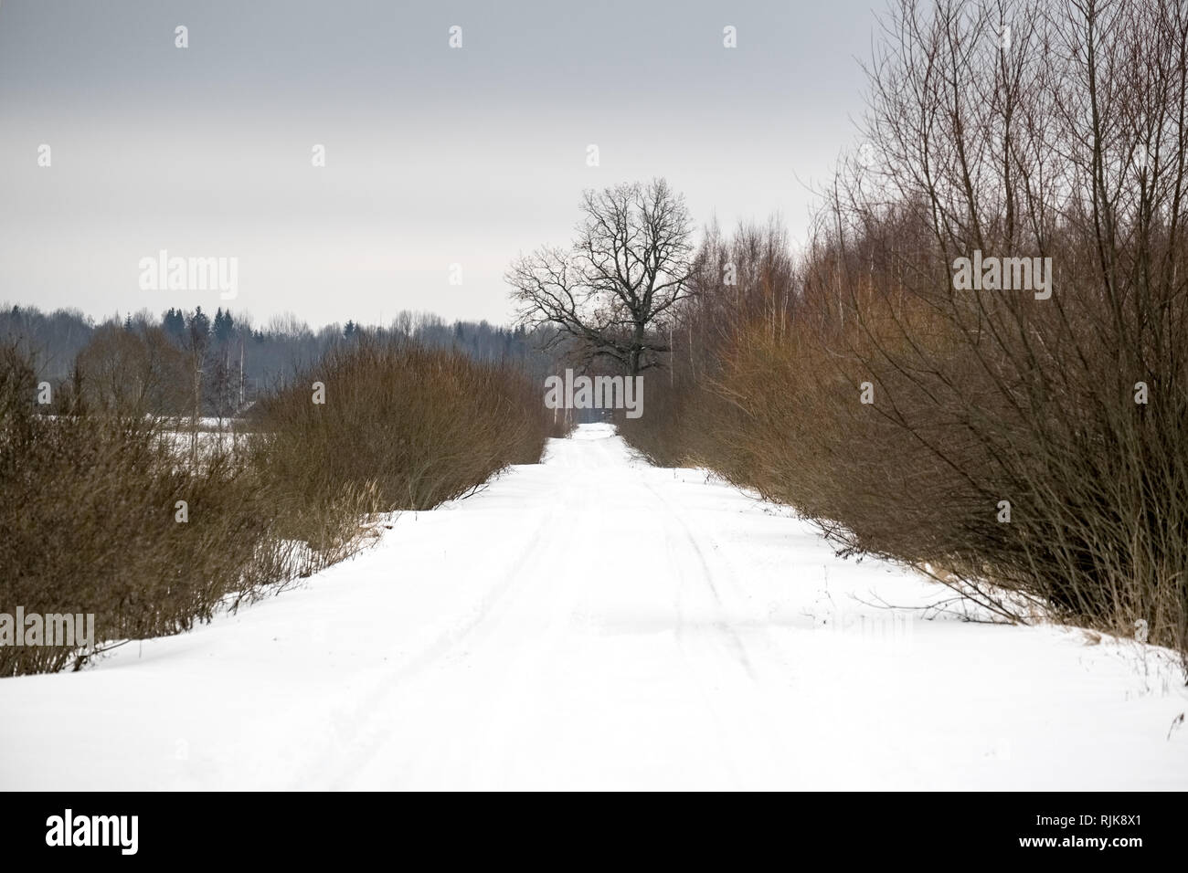 deep snow covered road in winter with tire tracks Stock Photo - Alamy