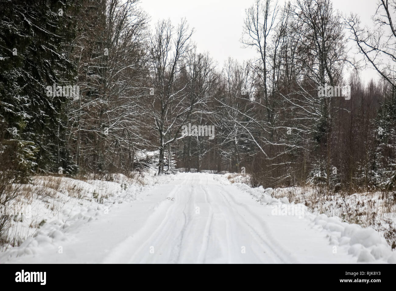 deep snow covered road in winter with tire tracks Stock Photo - Alamy