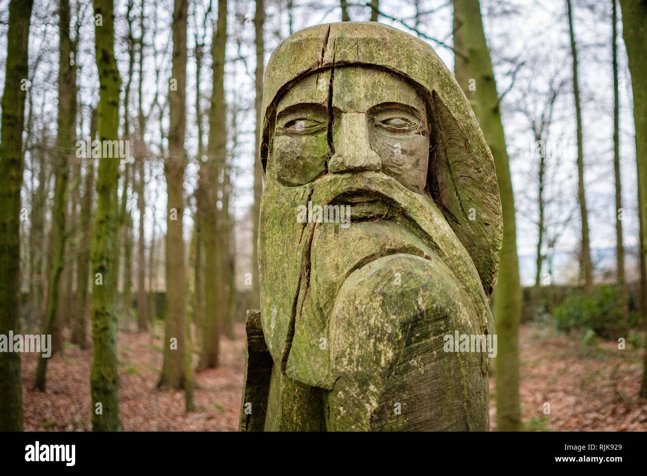 Bingley st ives estate hi-res stock photography and images - Alamy