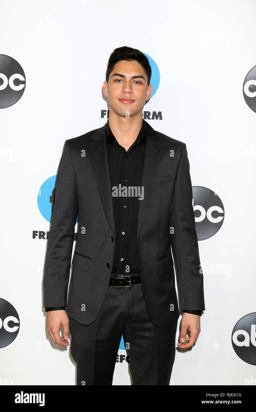 February 5, 2019 - Pasadena, CA, USA - LOS ANGELES - FEB 5: Niko ...