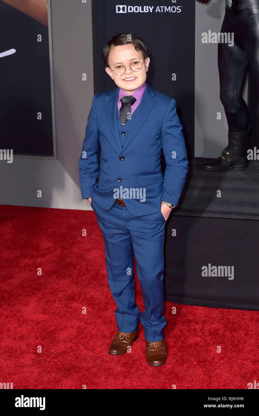 Los Angeles, USA. 05th Feb, 2019. Sam Humphrey at the premiere of the ...