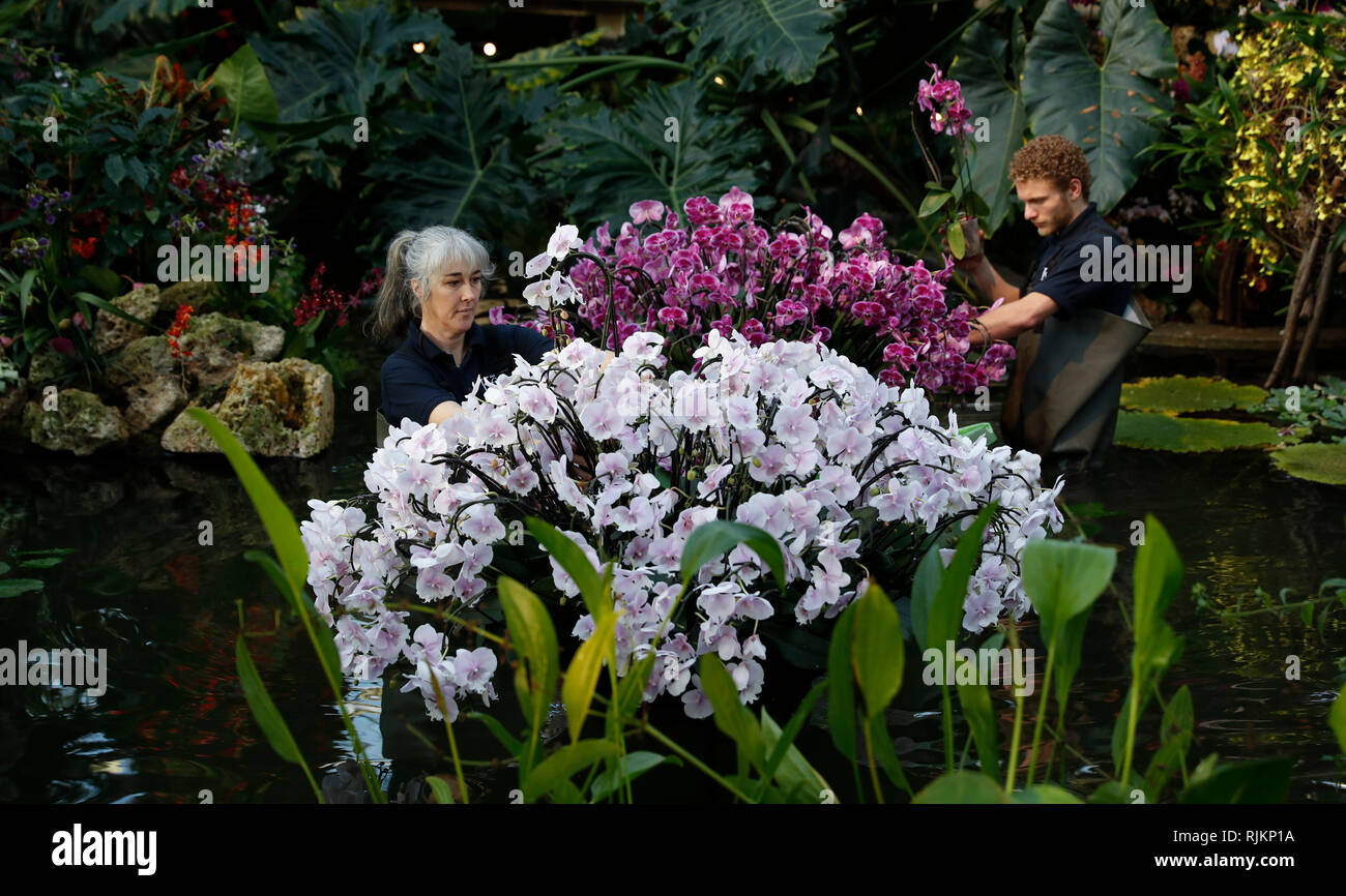 Michael antonetti hi-res stock photography and images - Alamy