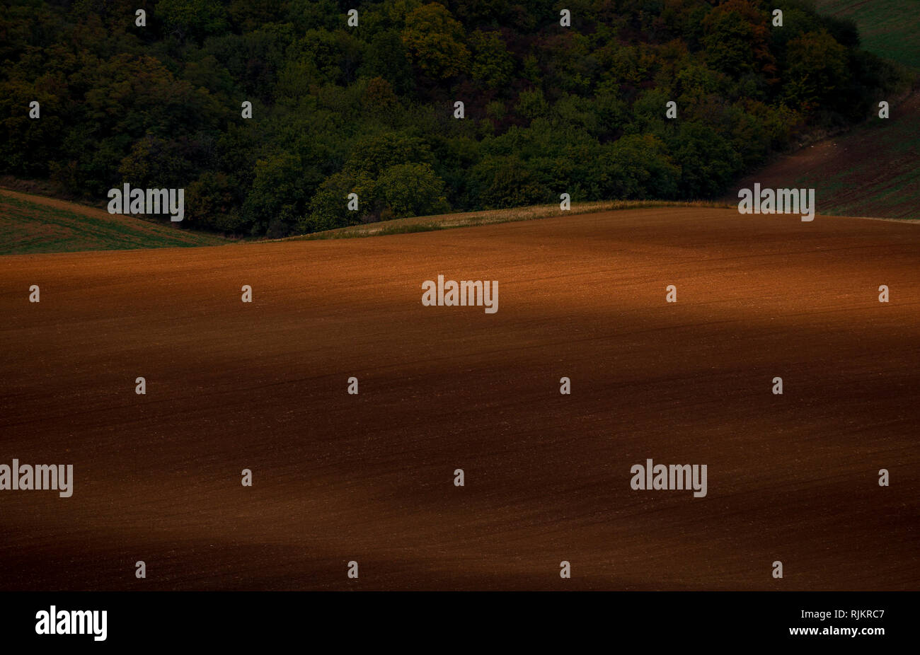 Field wave hi-res stock photography and images - Alamy