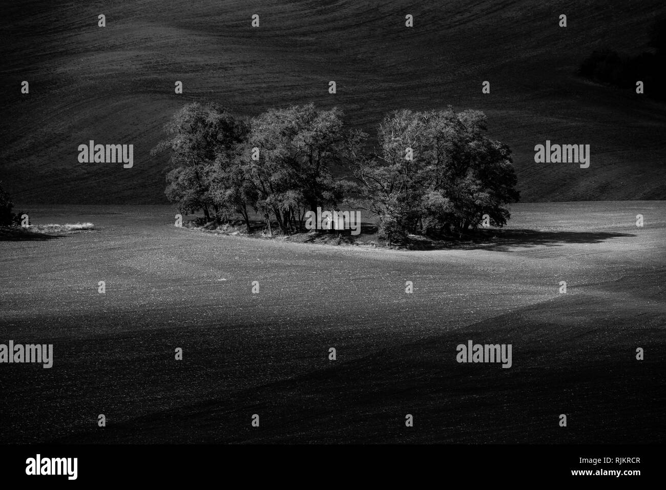 Green wavy line Black and White Stock Photos & Images - Alamy