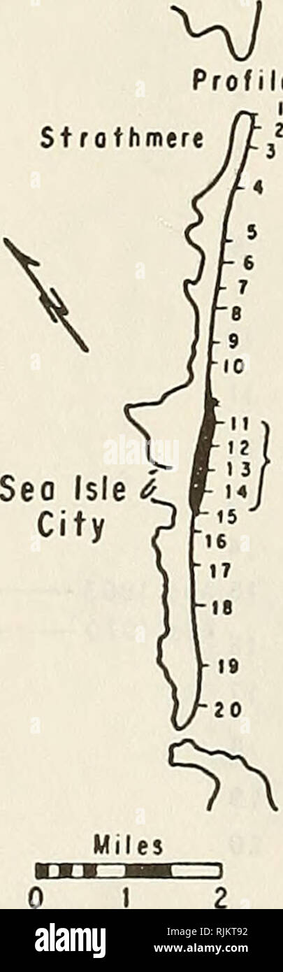 Msl 100 hi-res stock photography and images - Alamy