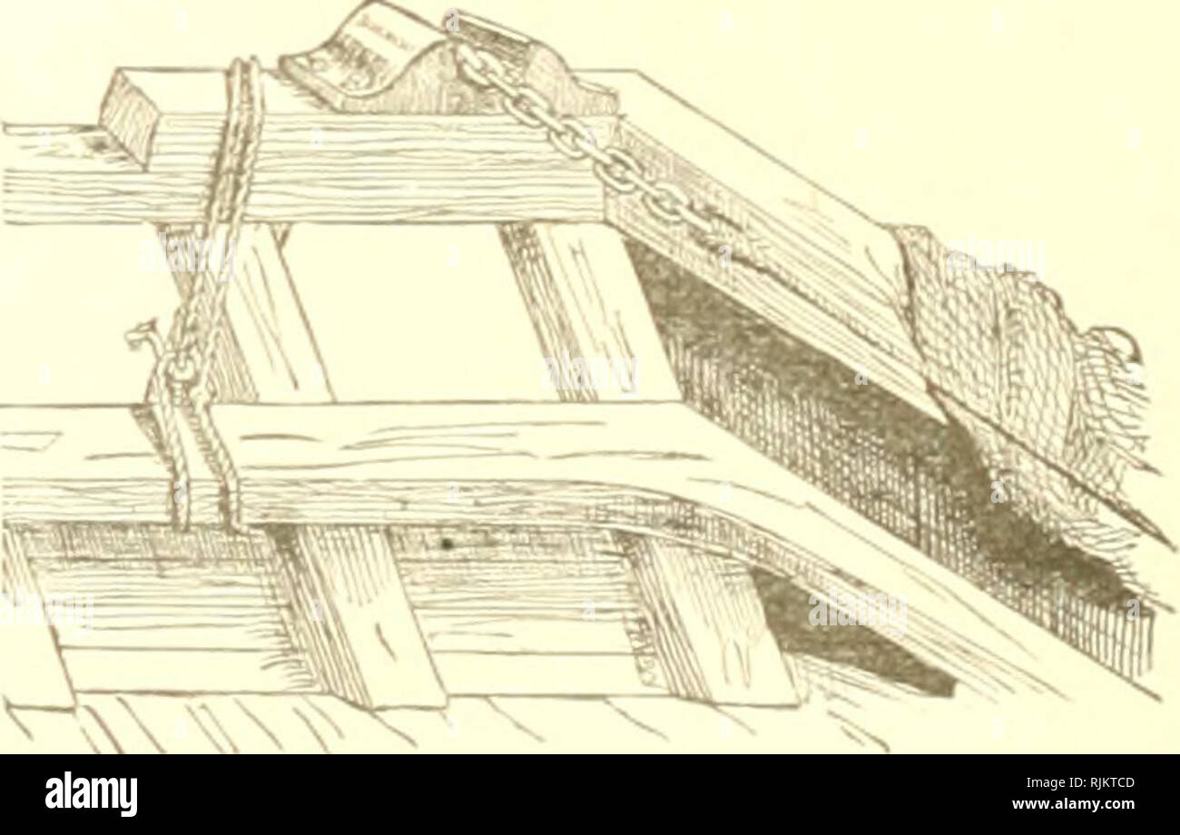 . The beam-trawl fishery of Great Britain. Trawls and trawling ...