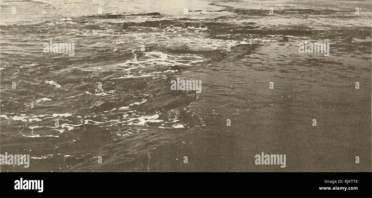 . Beach and inlet changes at Ludlam Beach, New Jersey. Beach erosion ...