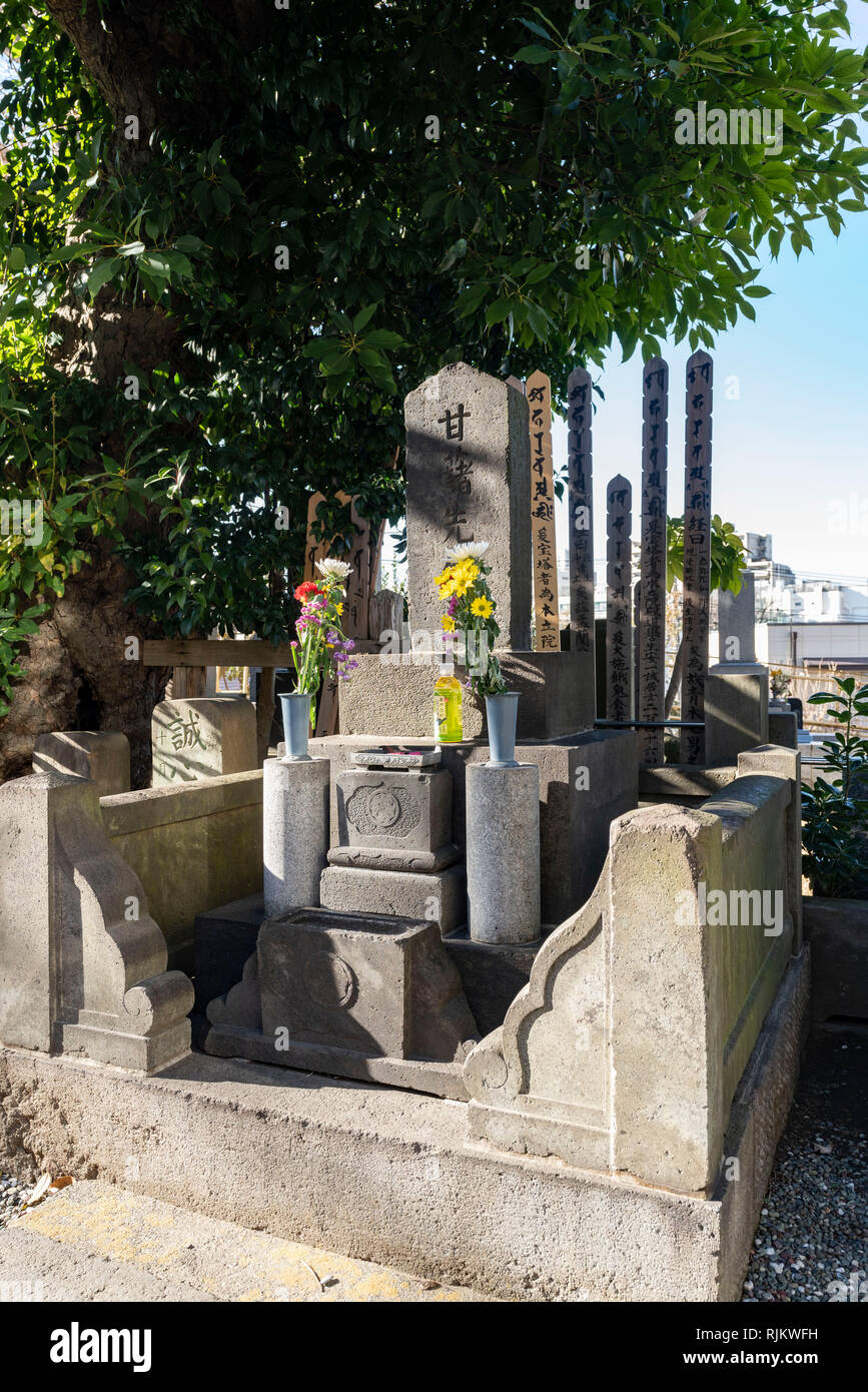 Tomb of Konyo Aoki (1698 - 1769 ), Ryusenji temple known as Meguro Fudo ...